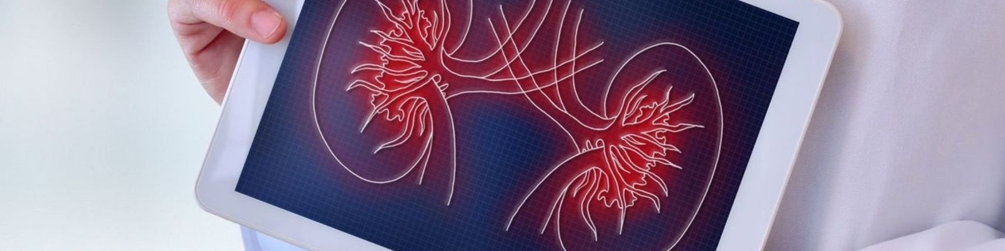 Insuffisance rénale : journée de prévention et d'information Jeudi 05 ...